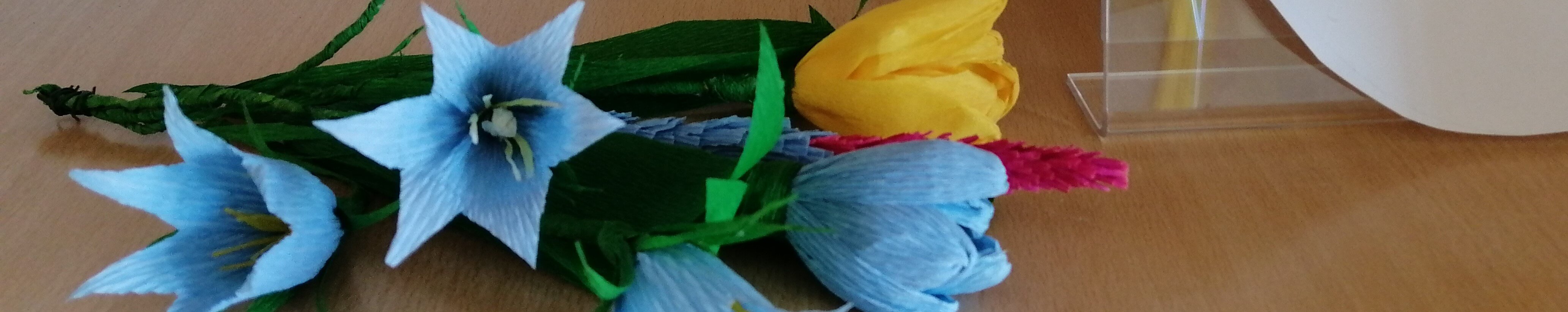 Nacionalno preverjanje znanja